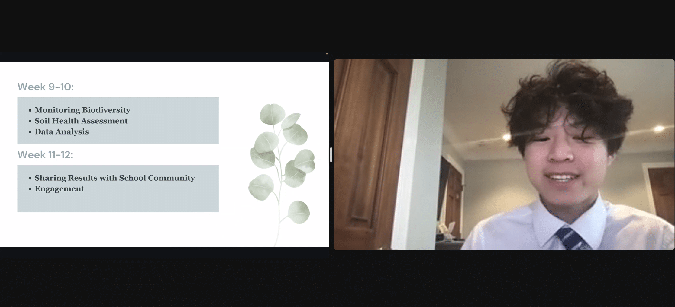 Soul Seeds - Turning Green